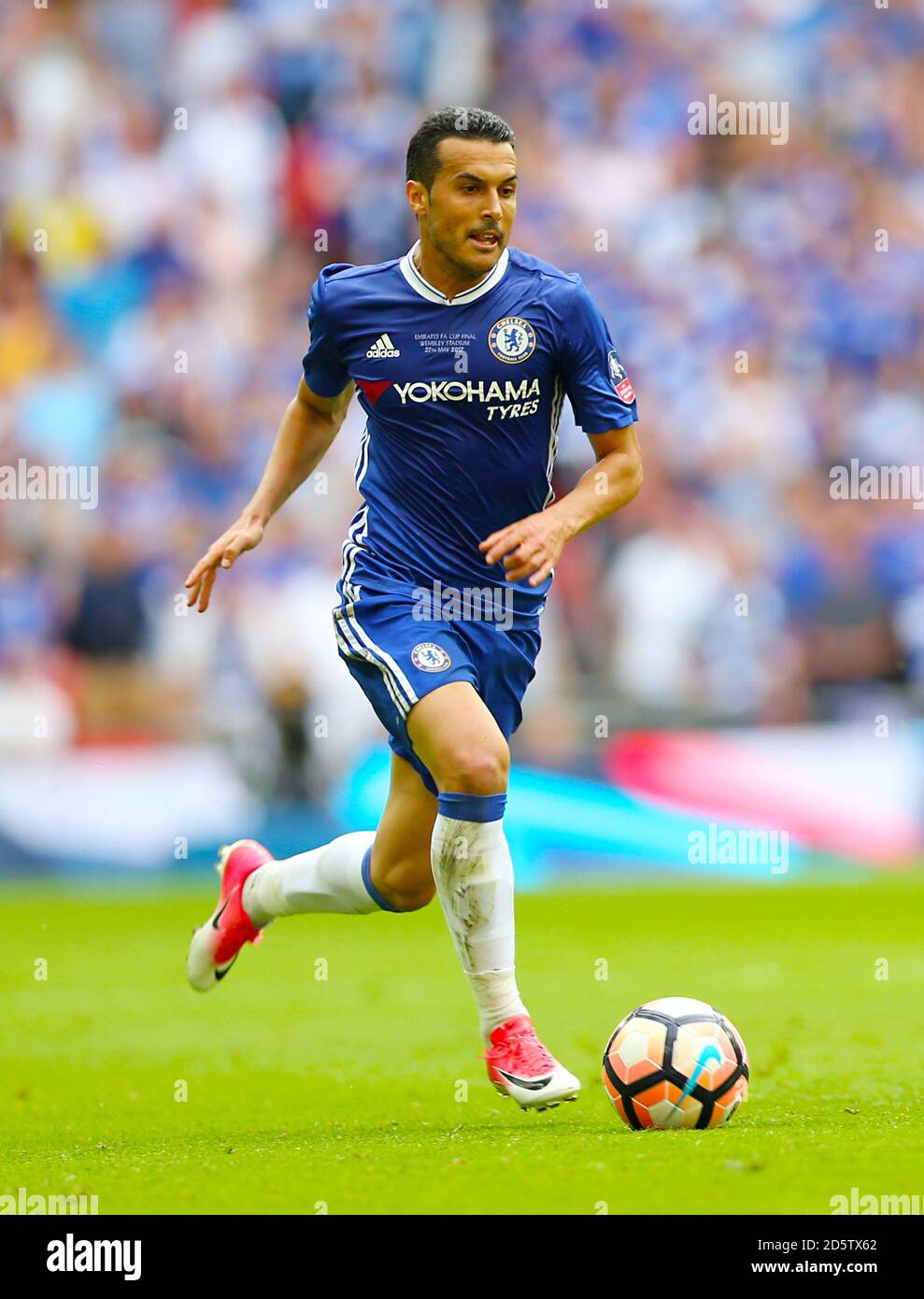 English pedro of chelsea hi-res stock photography and images - Alamy