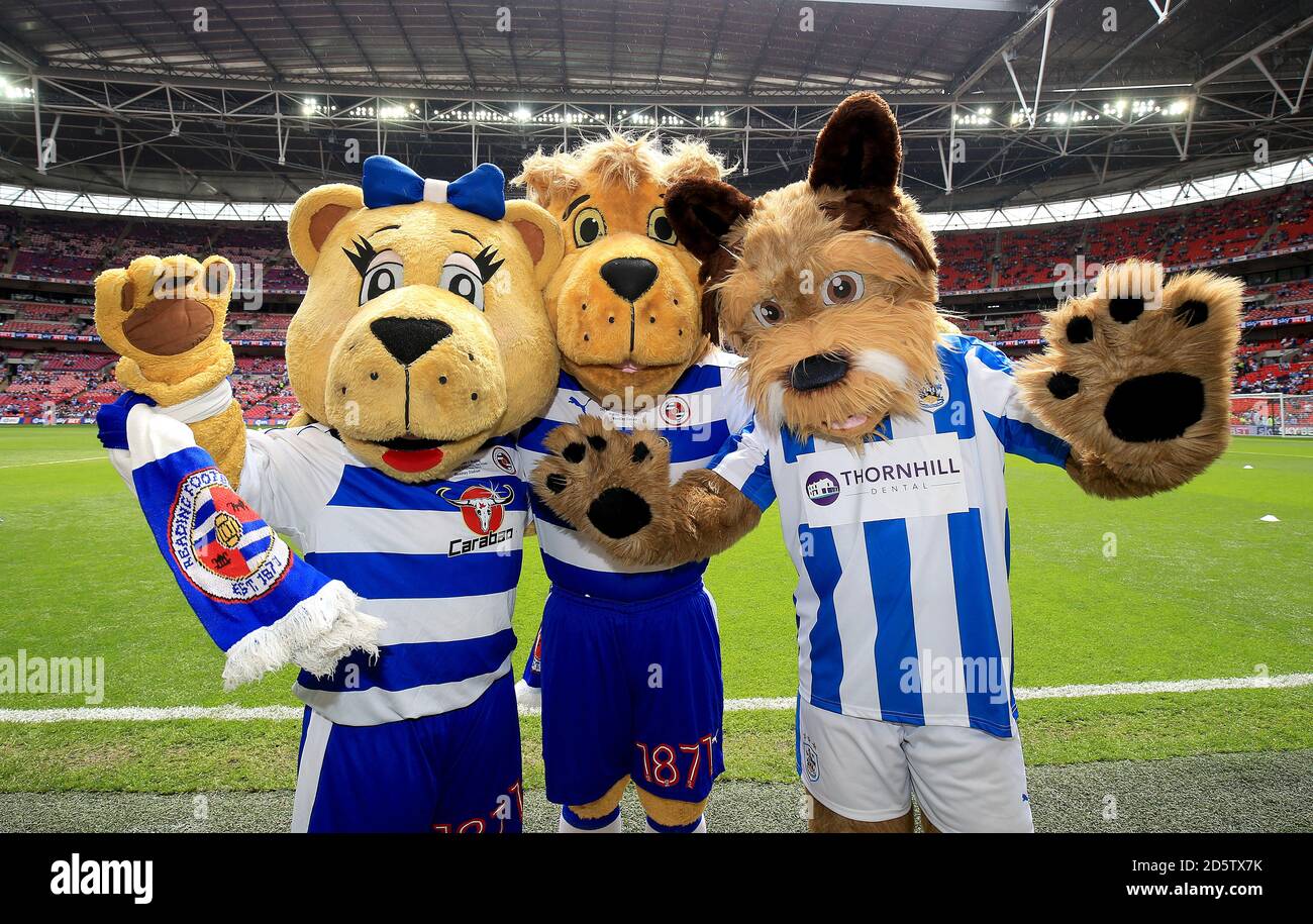 Reading mascots Kingsley (centre) and Queensley (left) alongside ...