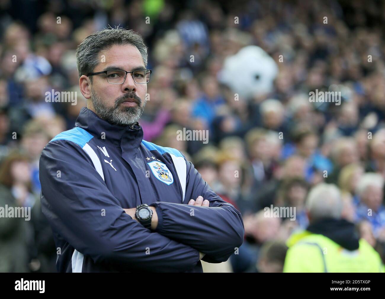 Huddersfield Town manager David Wagner Stock Photo - Alamy