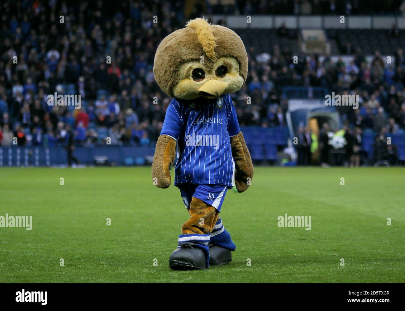Ozzie the owl sheffield wednesday hi-res stock photography and images ...