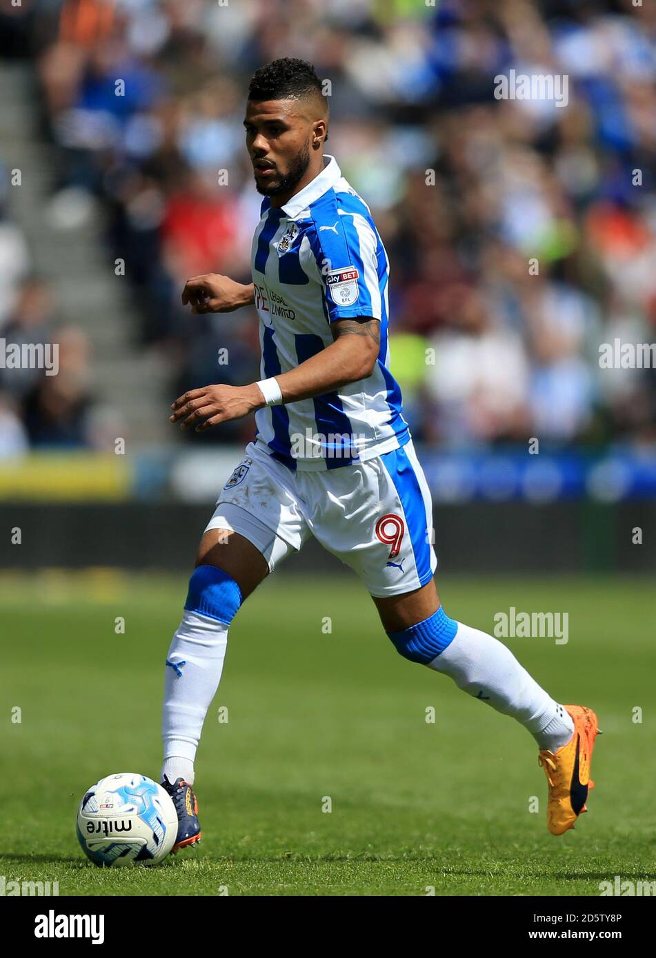 Huddersfield Town's Elias Kachunga Stock Photo - Alamy