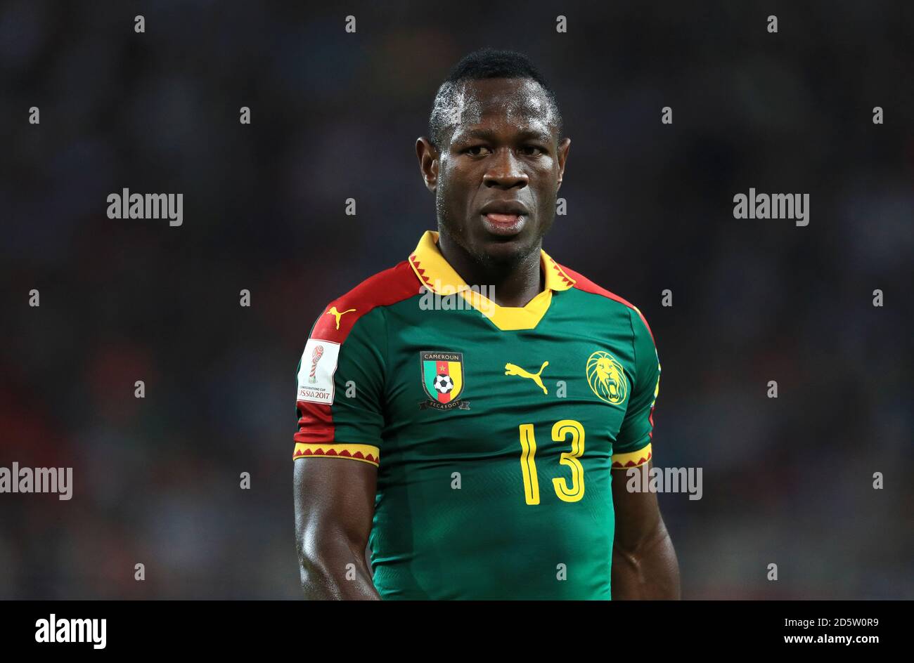 Bassogog hi-res stock photography and images - Alamy