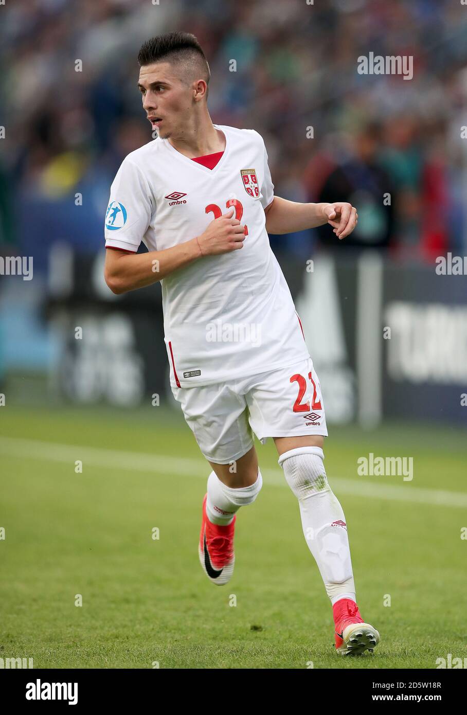 Srdan plavsic hi-res stock photography and images - Alamy