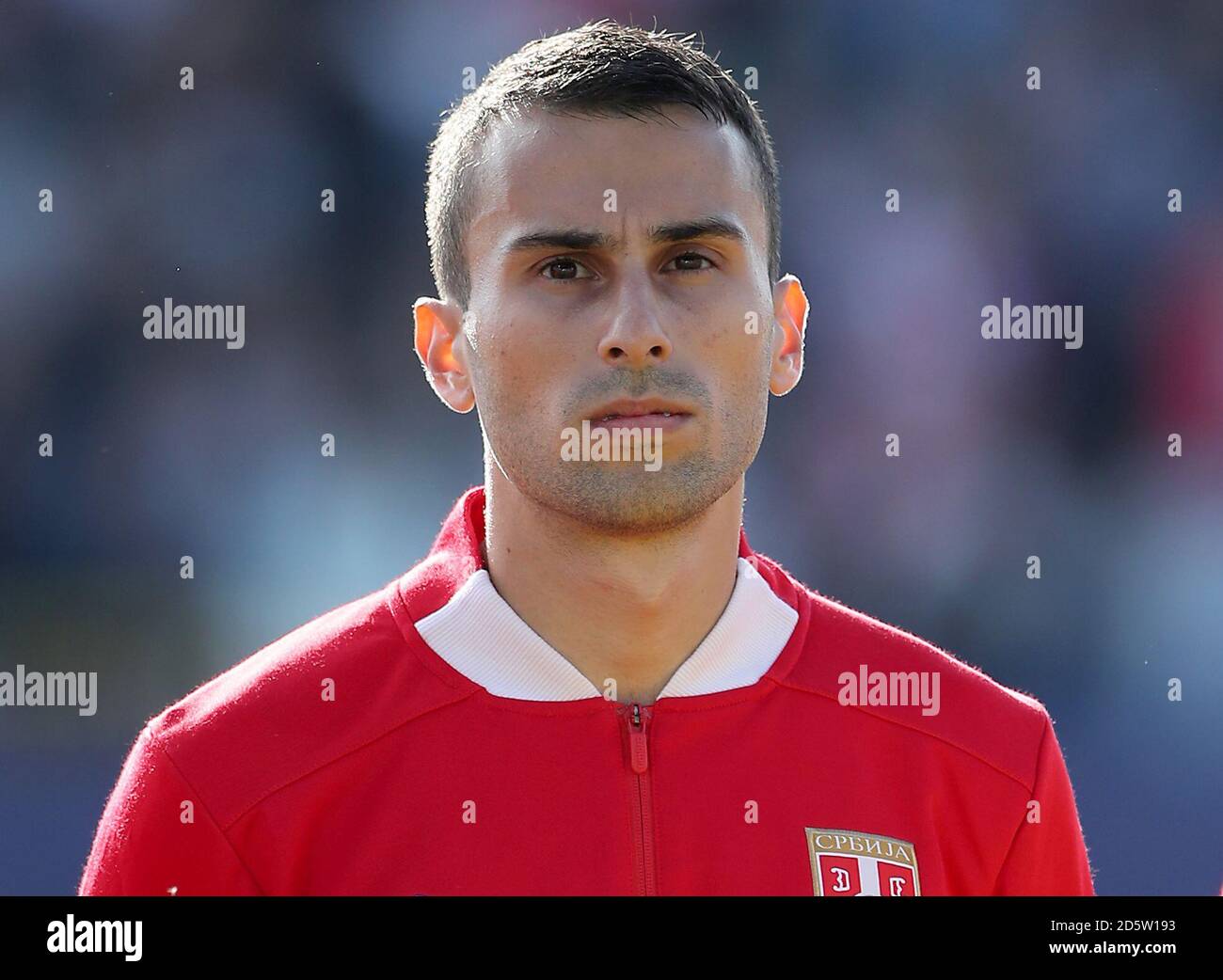 Milan Gajic, Serbia Stock Photo - Alamy