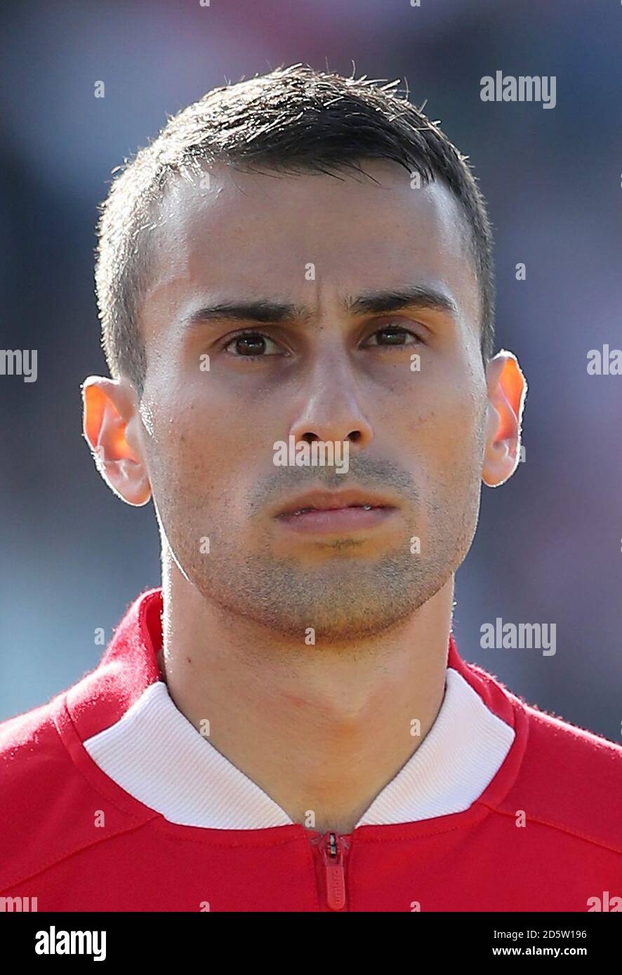 Milan Gajic, Serbia Stock Photo - Alamy