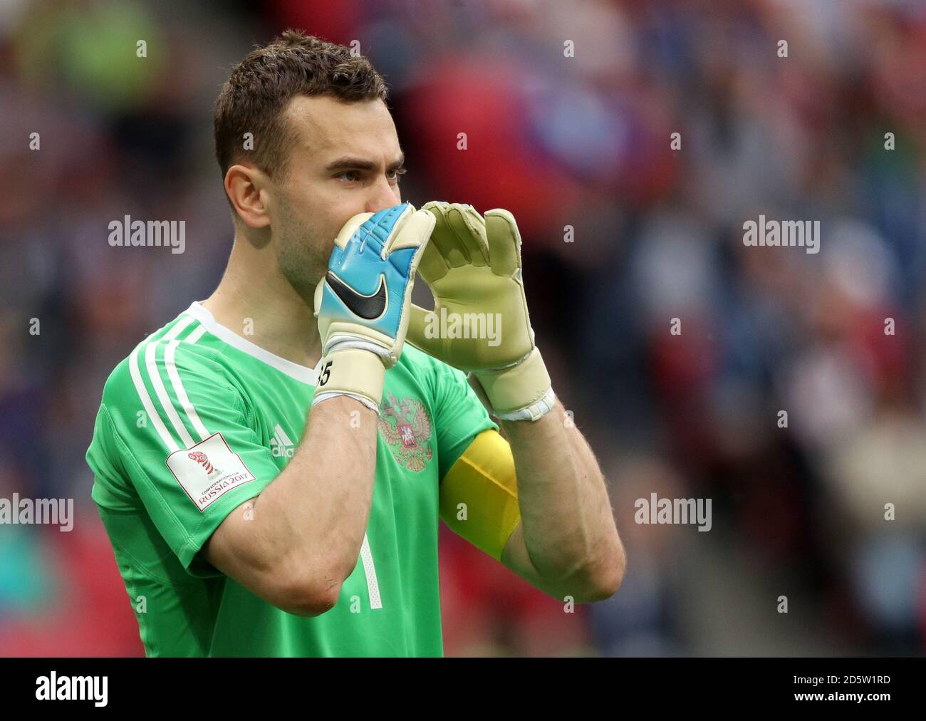 Russia's Igor Akinfeev Stock Photo - Alamy