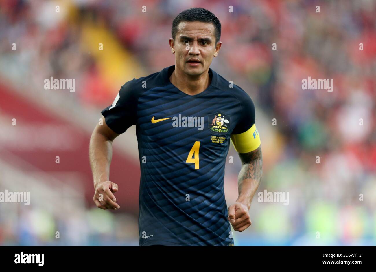 Tim cahill hi-res stock photography and images - Alamy