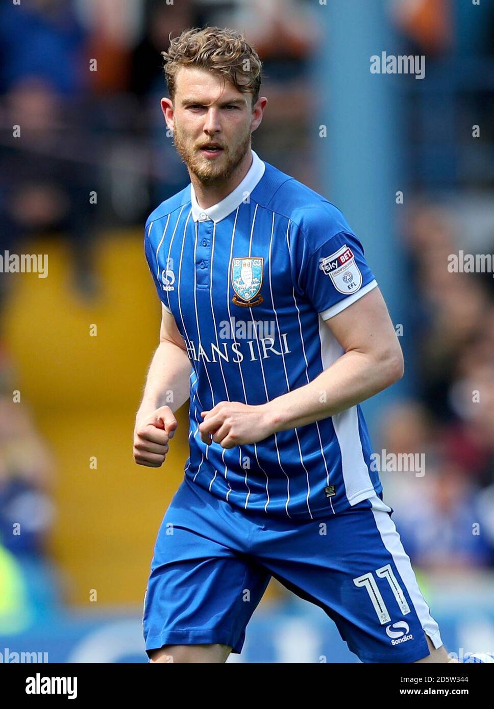 Sam Winnall, Sheffield Wednesday Stock Photo - Alamy