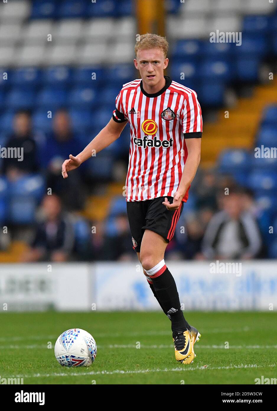 Rees greenwood hi-res stock photography and images - Alamy