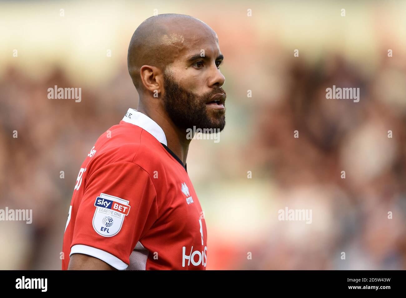 Adam chambers hi-res stock photography and images - Alamy