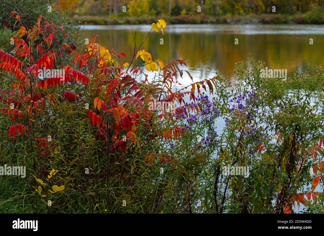 Beautiful fall afternoon hi-res stock photography and images - Alamy