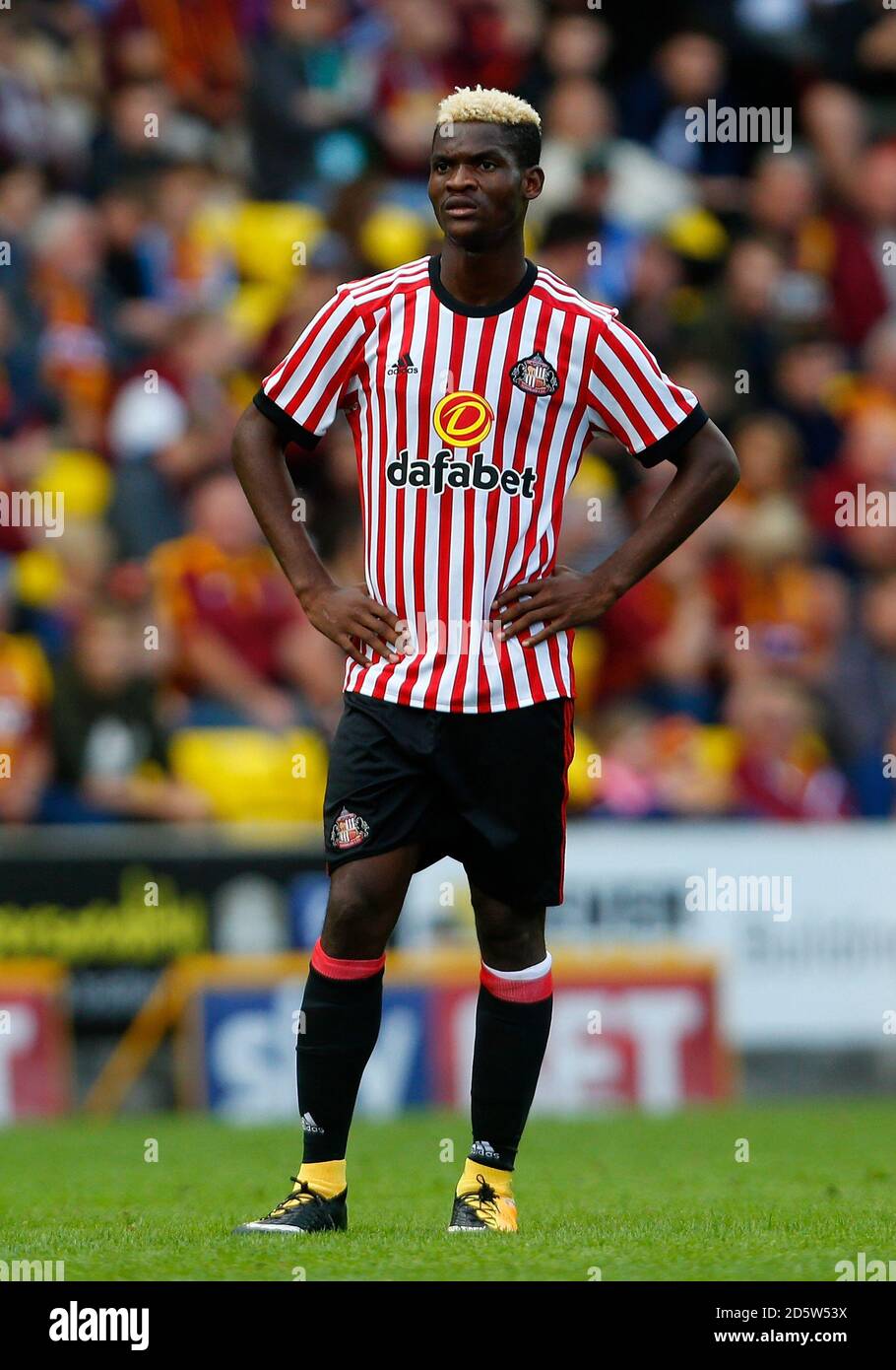 Sunderland's Didier N'Dong Stock Photo - Alamy