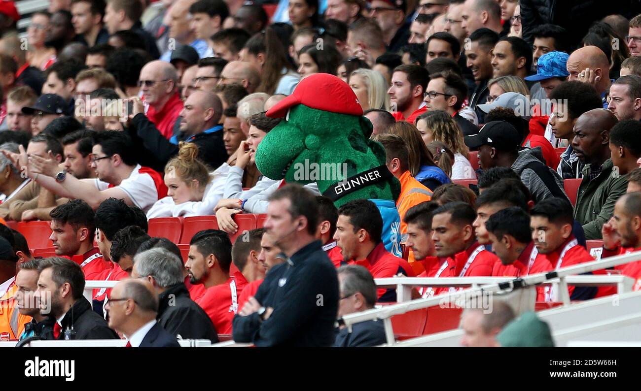 Arsenal mascot Gunnersaurus Rex in the stands Stock Photo - Alamy