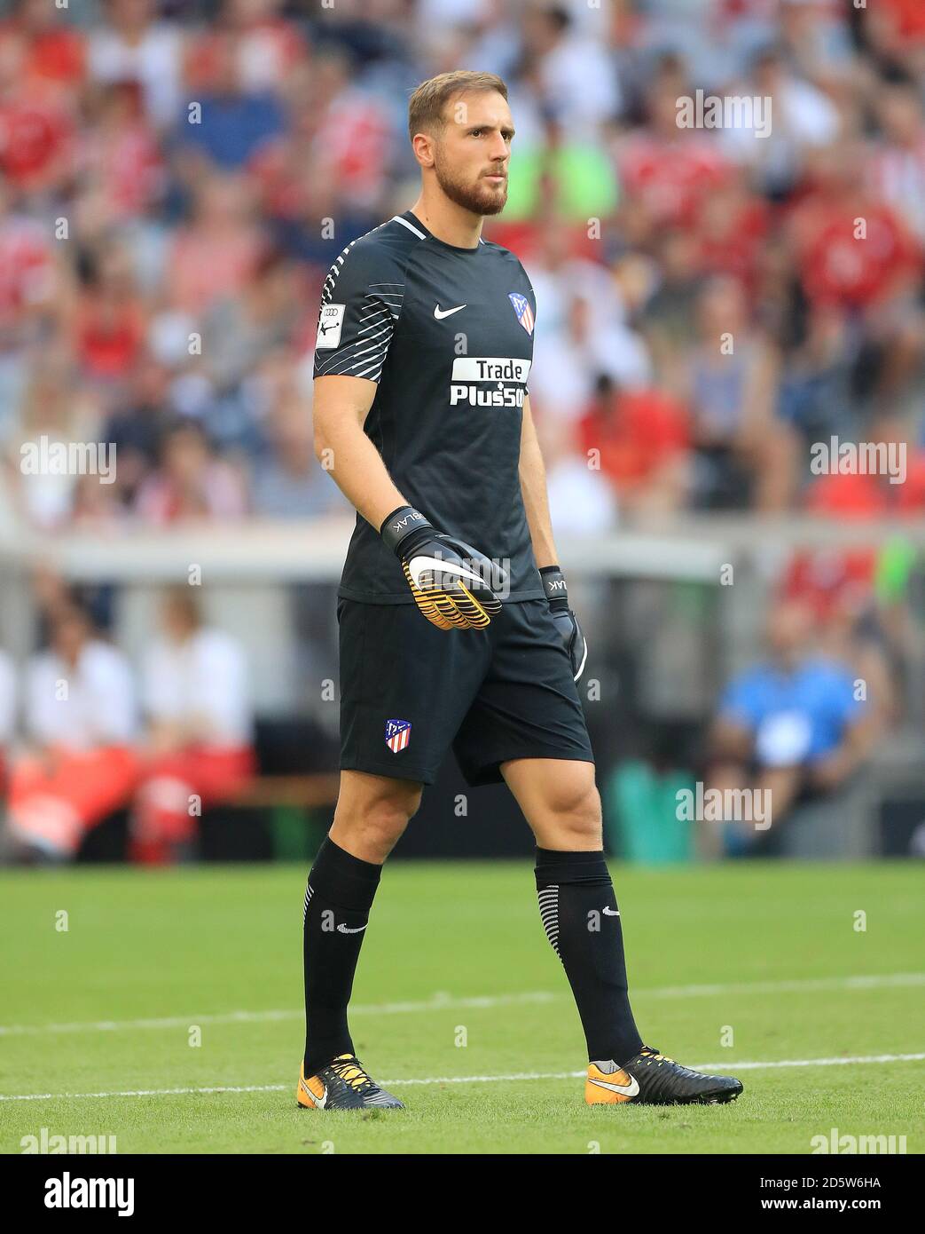 Atletico Madrid's goalkeeper Jan Oblak during the match Stock Photo - Alamy