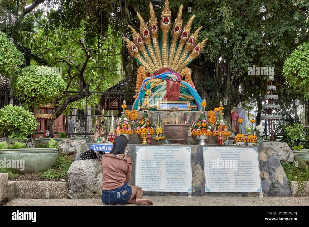 Woman praying, Buddhist female. Naga snake shrine, Thailand Stock Photo ...