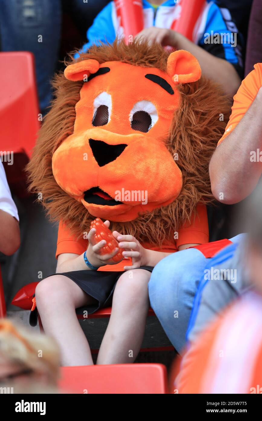 A general view of a crowd member in fancy dress Stock Photo - Alamy