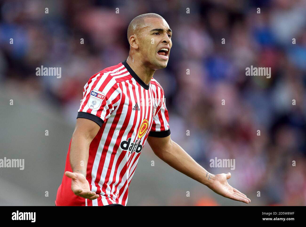 James Vaughan, Sunderland Stock Photo - Alamy