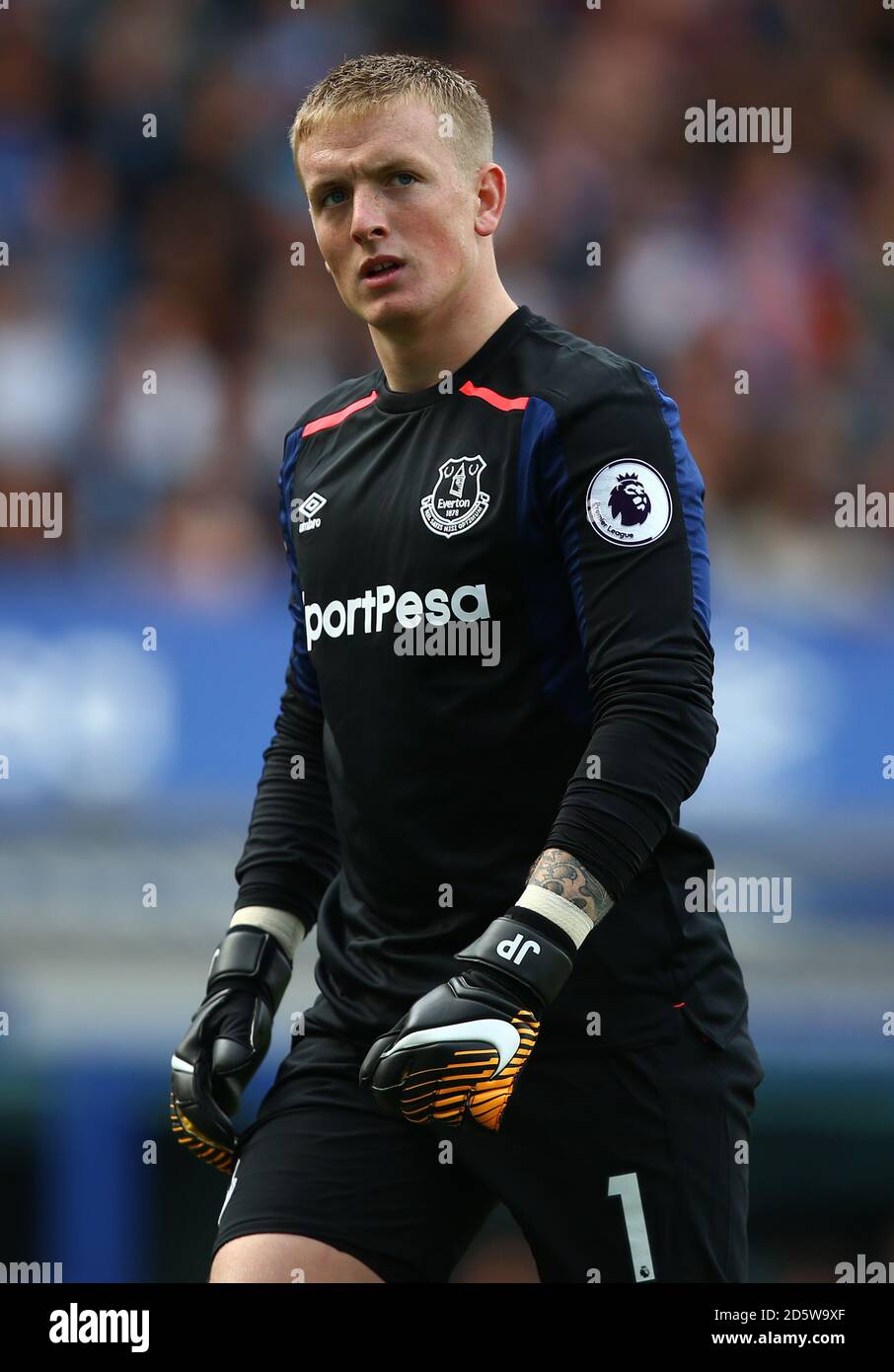 Everton goalkeeper Jordan Pickford Stock Photo - Alamy