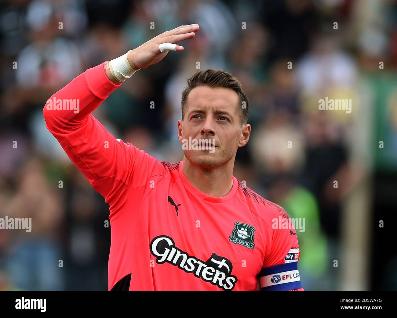 Plymouth Argyle's goalkeeper Luke McCormick Stock Photo - Alamy