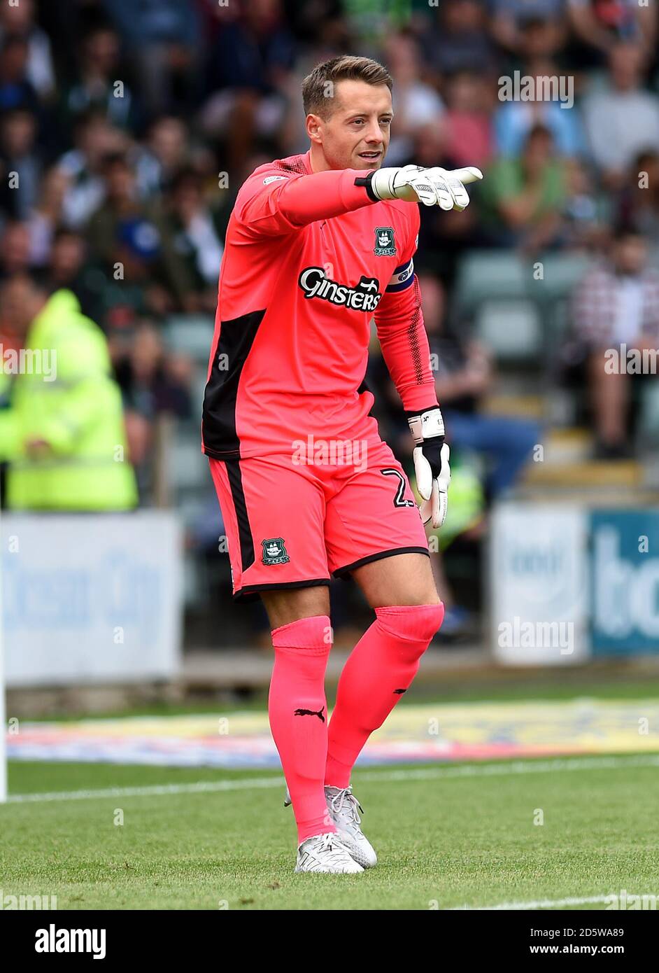 Plymouth Argyle's goalkeeper Luke McCormick Stock Photo - Alamy