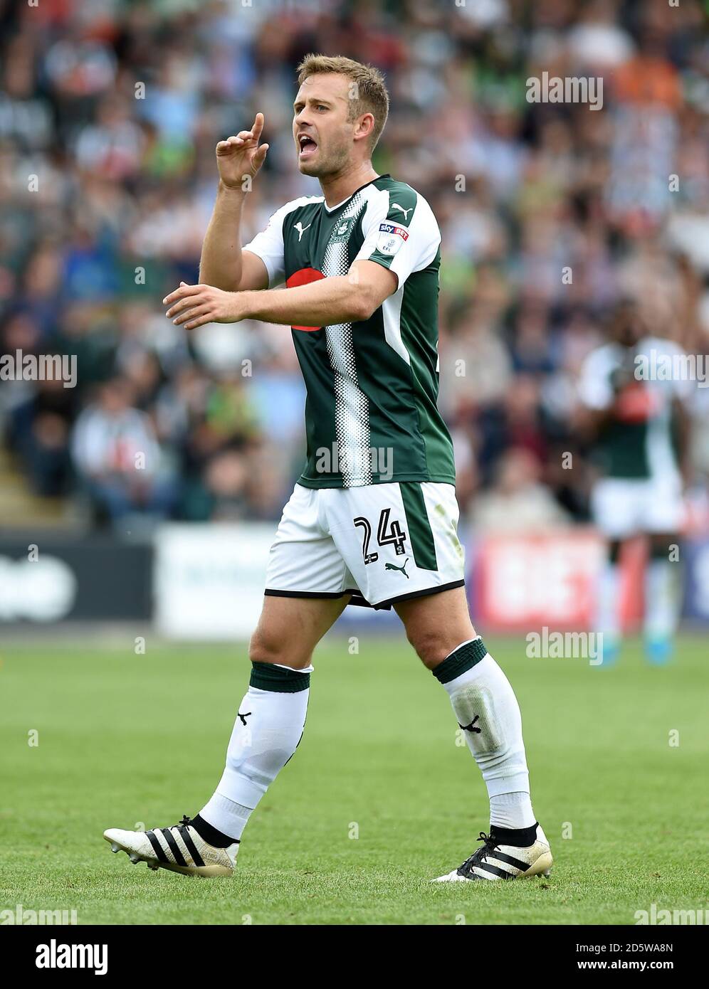 David fox hi-res stock photography and images - Alamy