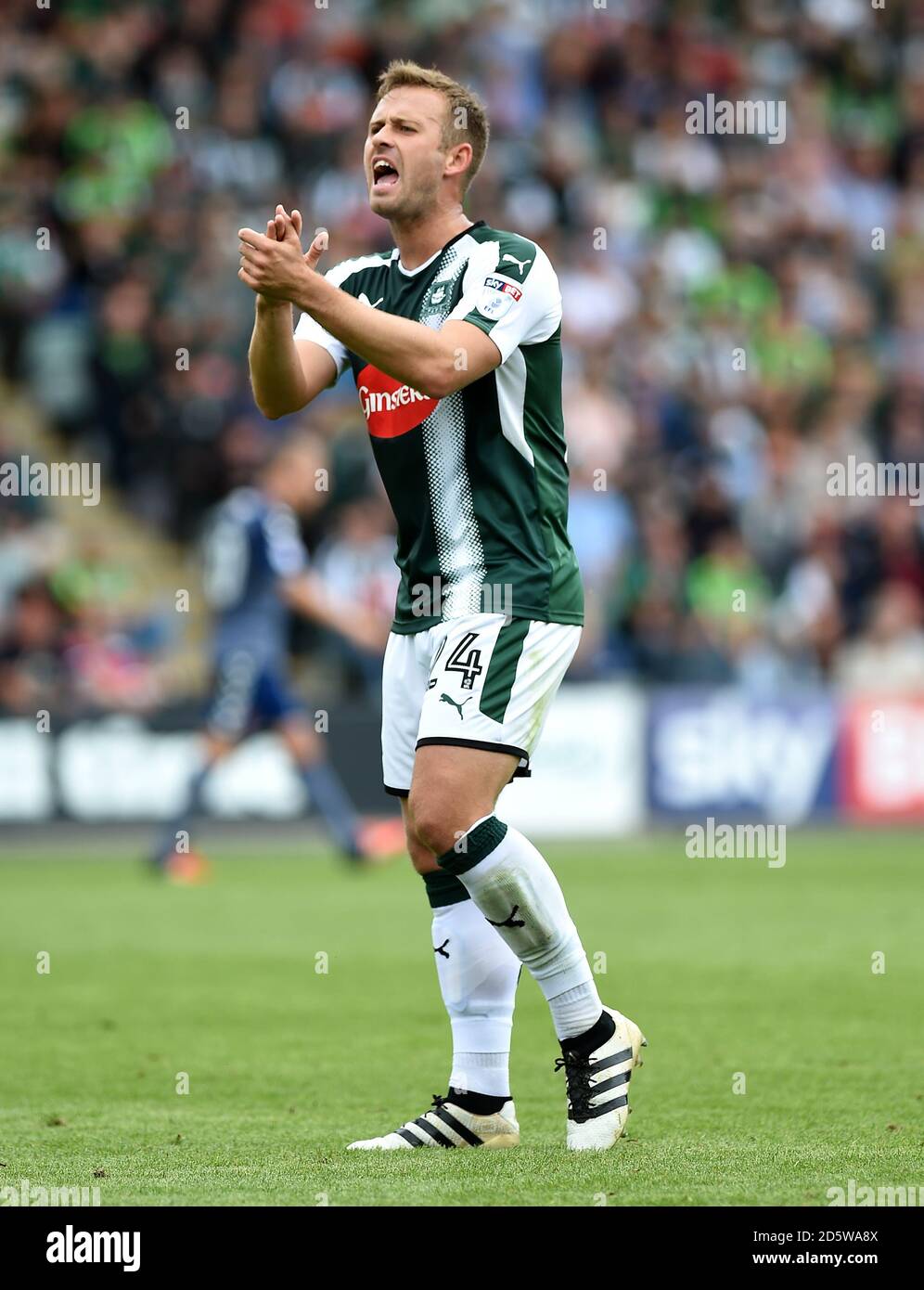 David Fox, Plymouth Argyle Stock Photo - Alamy