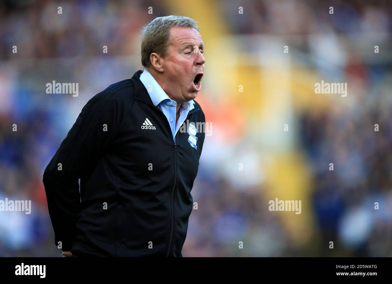 Birmingham City manager Harry Redknapp Stock Photo - Alamy