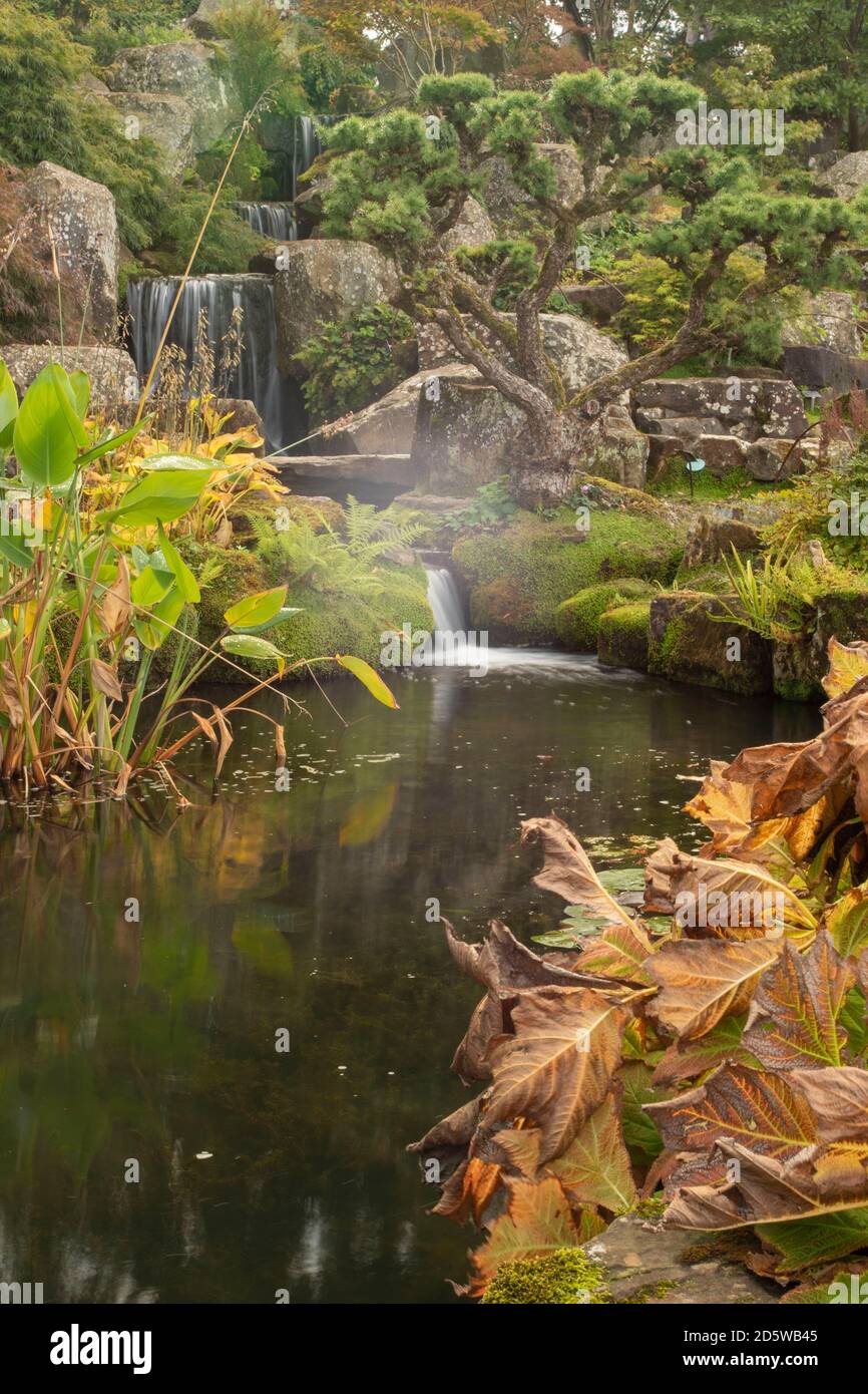 Small pond and waterfall as a natural landscape background Stock Photo ...