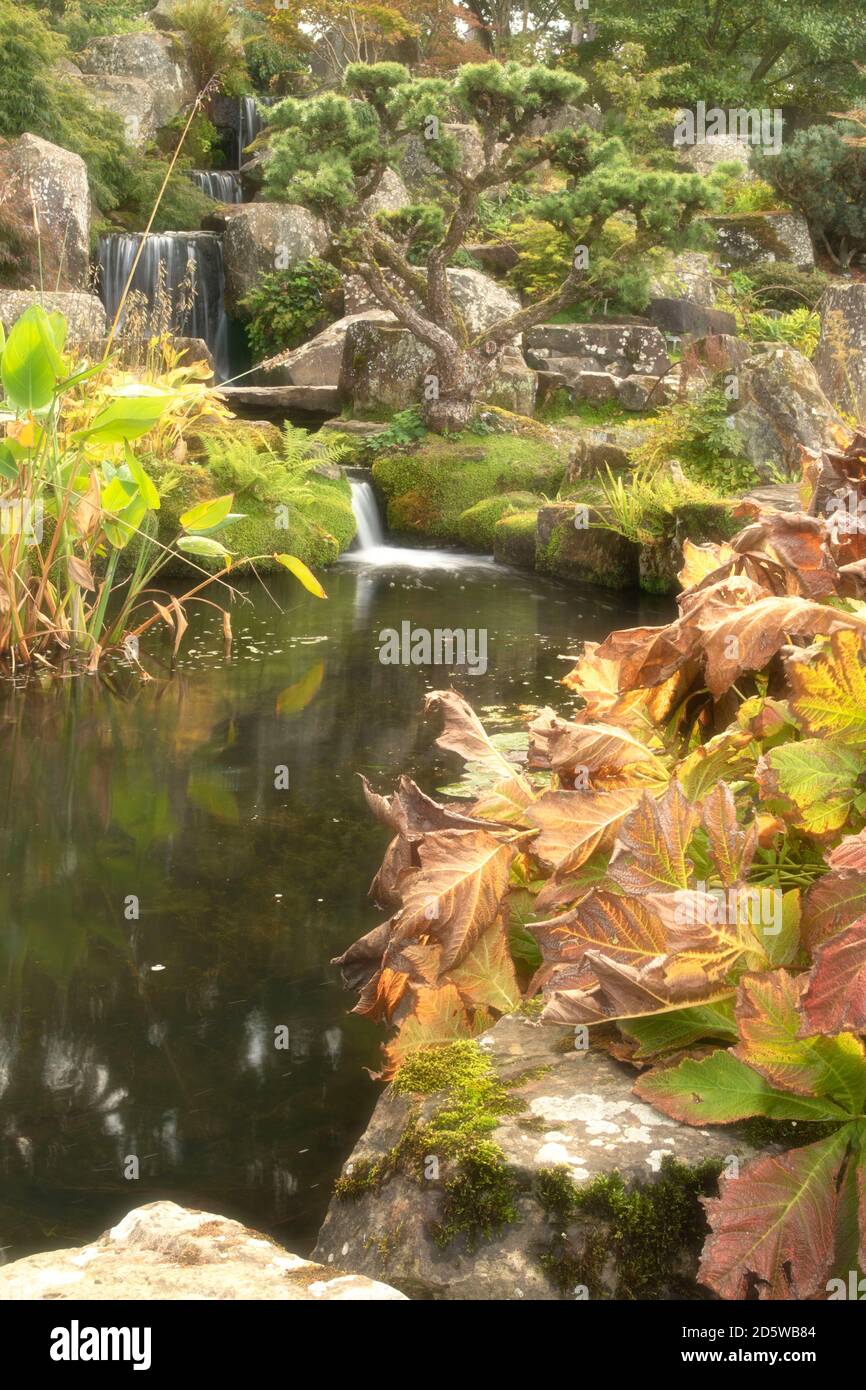 Small pond and waterfall as a natural landscape background Stock Photo ...