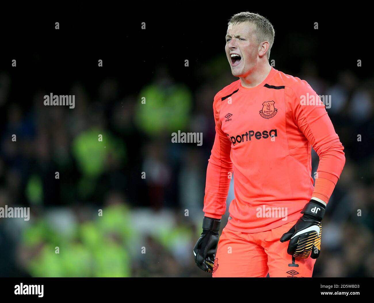 Everton goalkeeper Jordan Pickford Stock Photo - Alamy