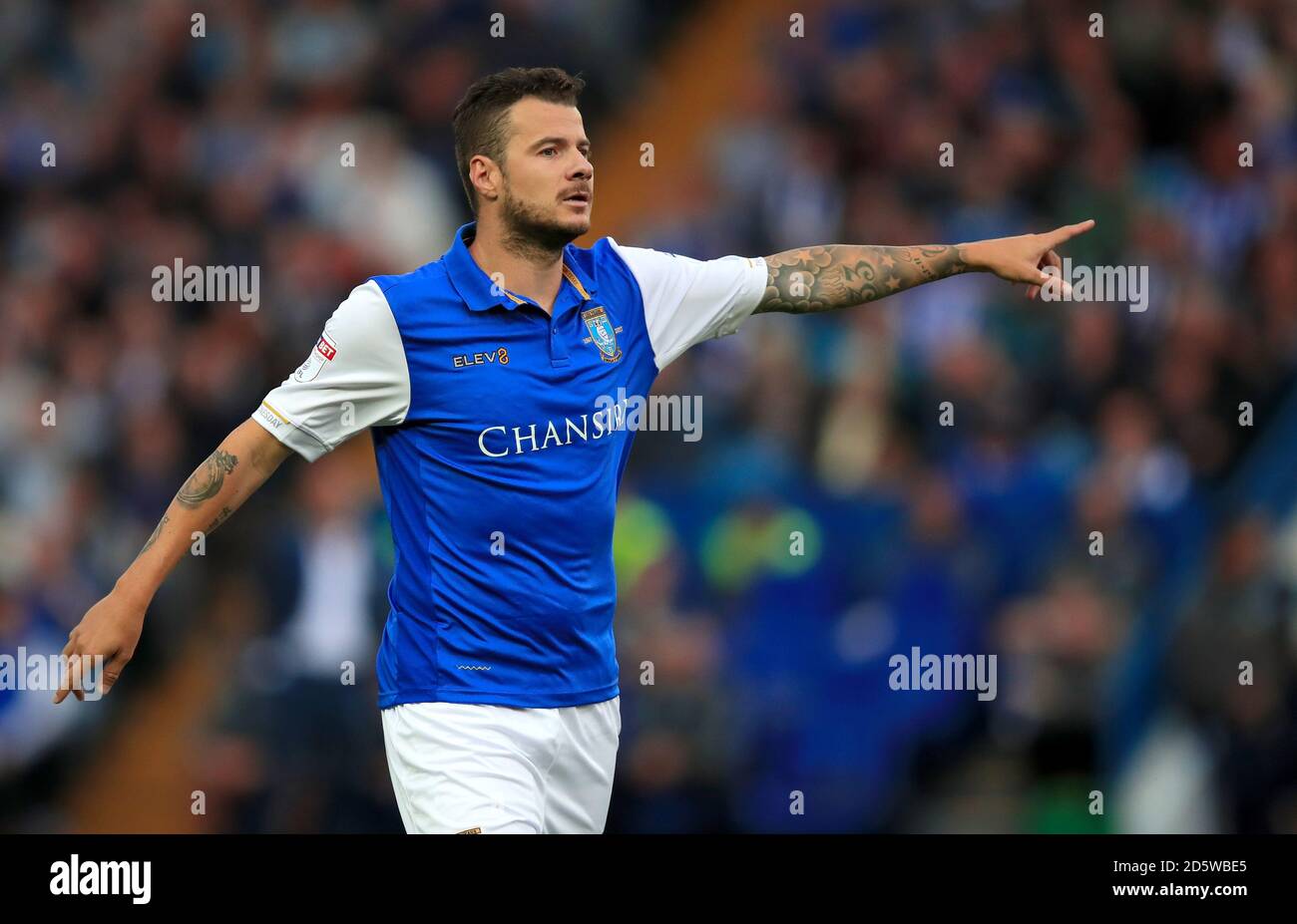 Sheffield wednesdays daniel pudil hi-res stock photography and images ...