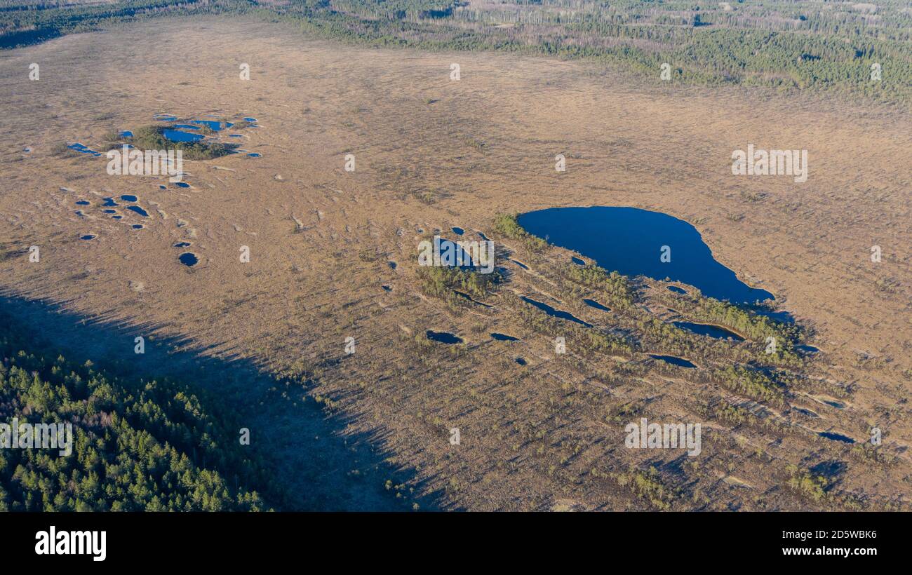 Aerial view over peat bog with lakes Stock Photo - Alamy