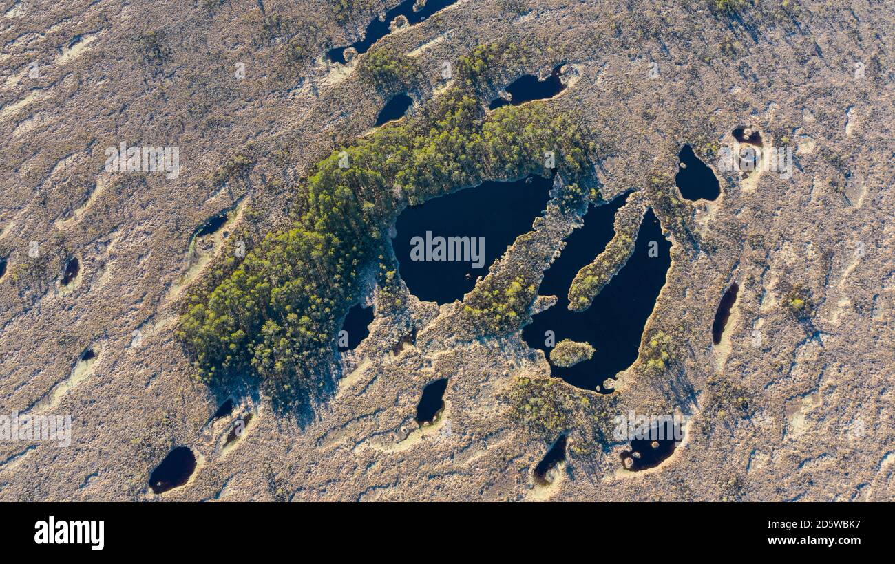 Aerial view over peat bog with lakes Stock Photo - Alamy