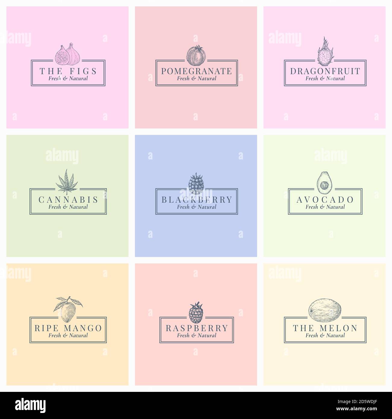 Fruits Beries and Herbs Abstract Vector Signs, Symbols or Logo ...