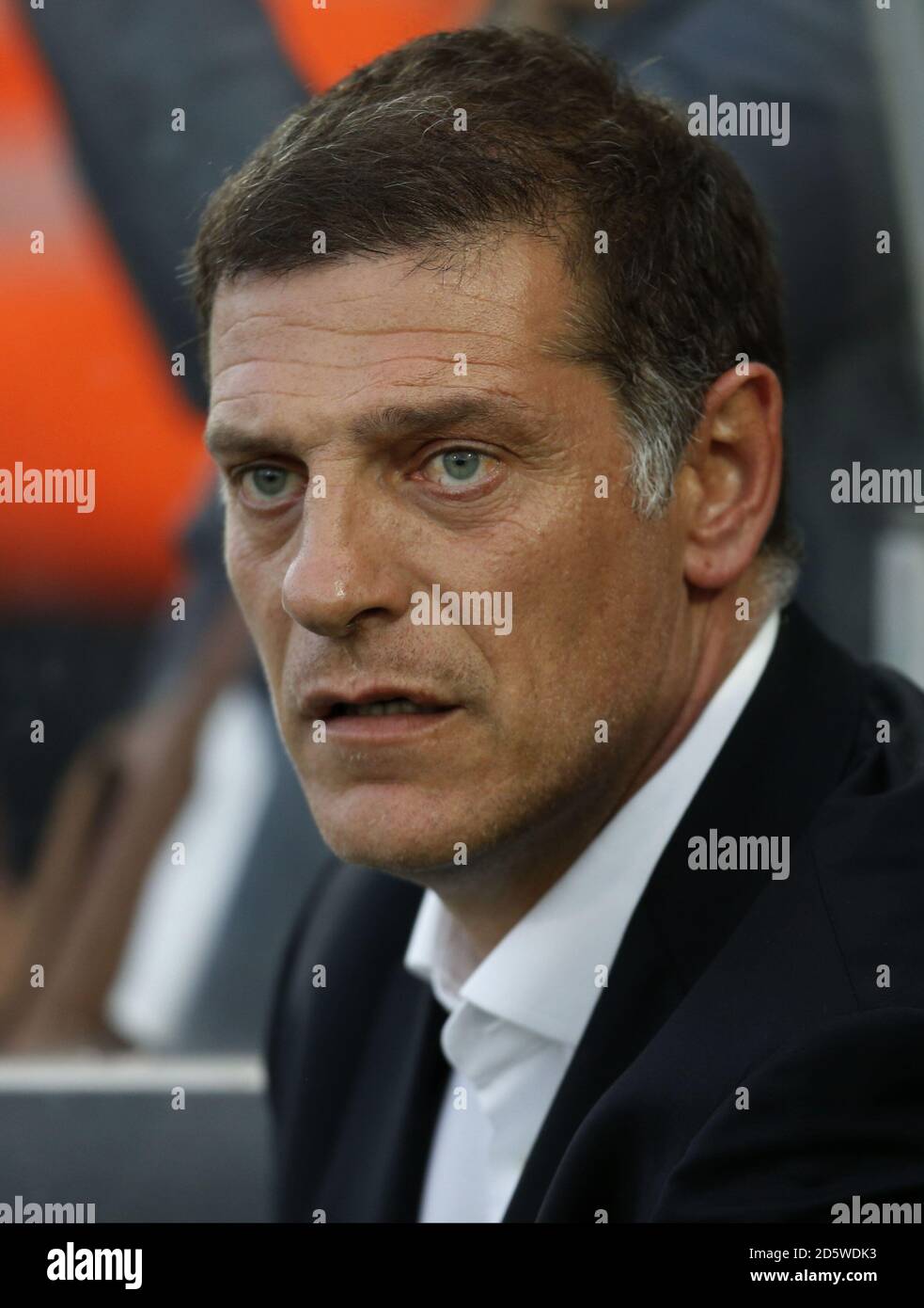 Slaven bilic portrait hi-res stock photography and images - Alamy