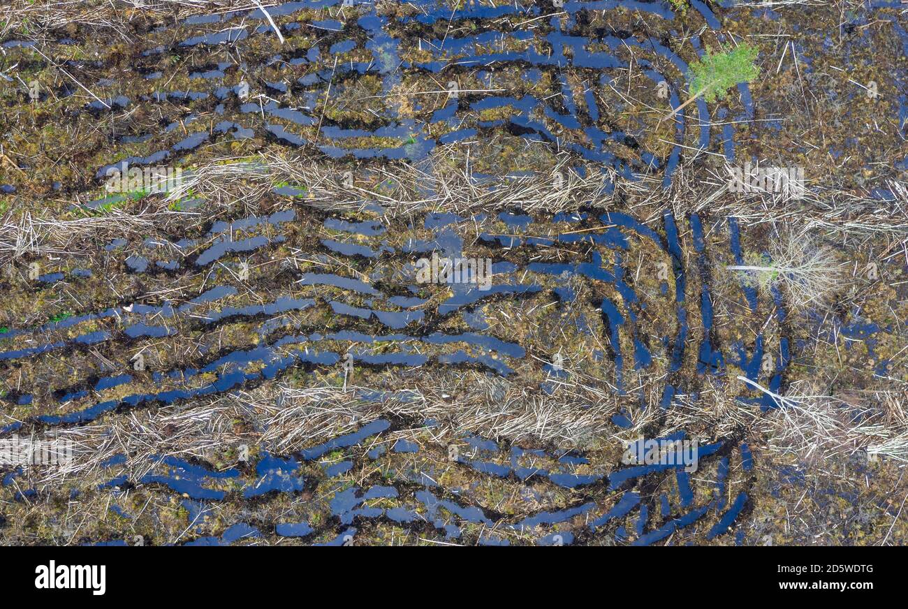 Aerial image of the damaged soil by forest clearcut loggin Stock Photo ...