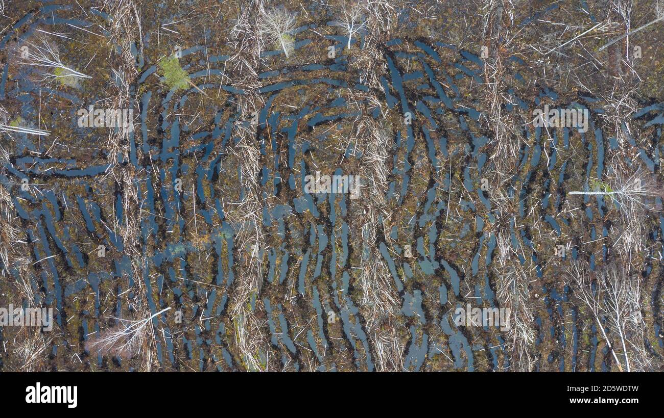 Aerial image of the damaged soil by forest clearcut loggin Stock Photo ...