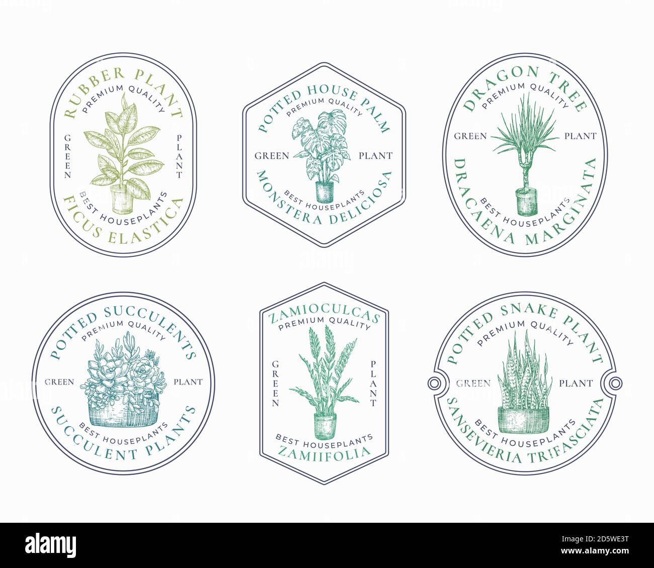Houseplants Badges or Logo Templates Collection. Hand Drawn Potted ...