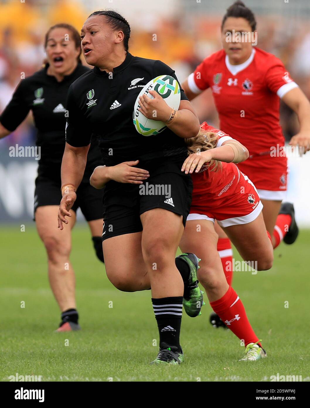 Natua hi-res stock photography and images - Alamy