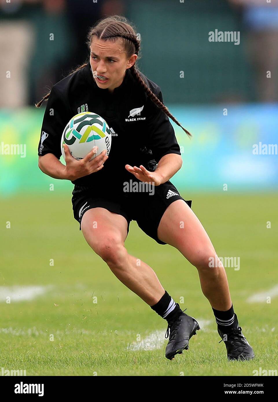 Selica winiata hi-res stock photography and images - Alamy