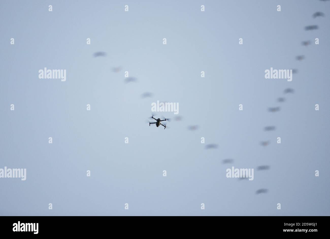 UAV drone and flock of birds in the air Stock Photo - Alamy