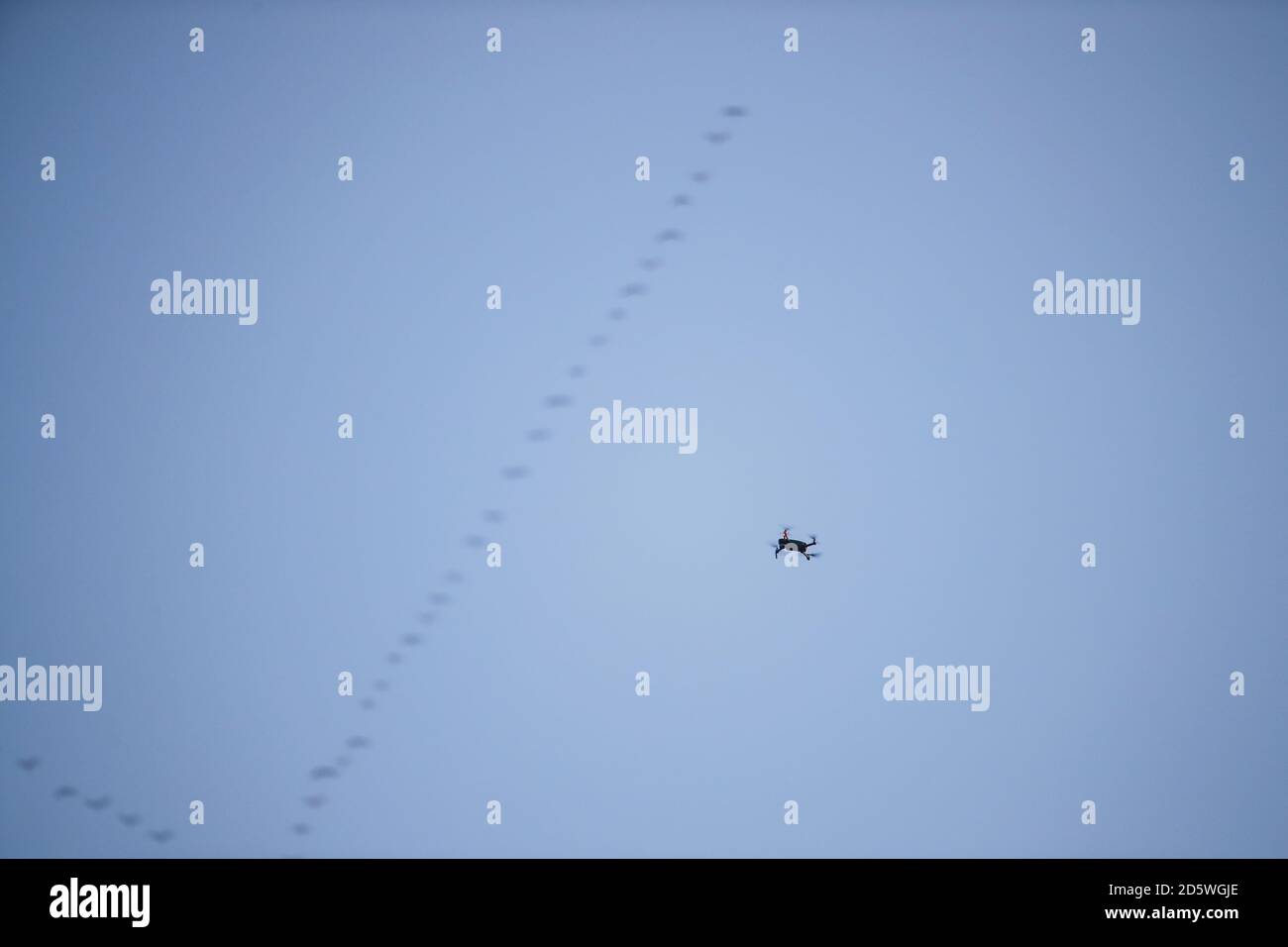 UAV drone and flock of birds in the air Stock Photo - Alamy