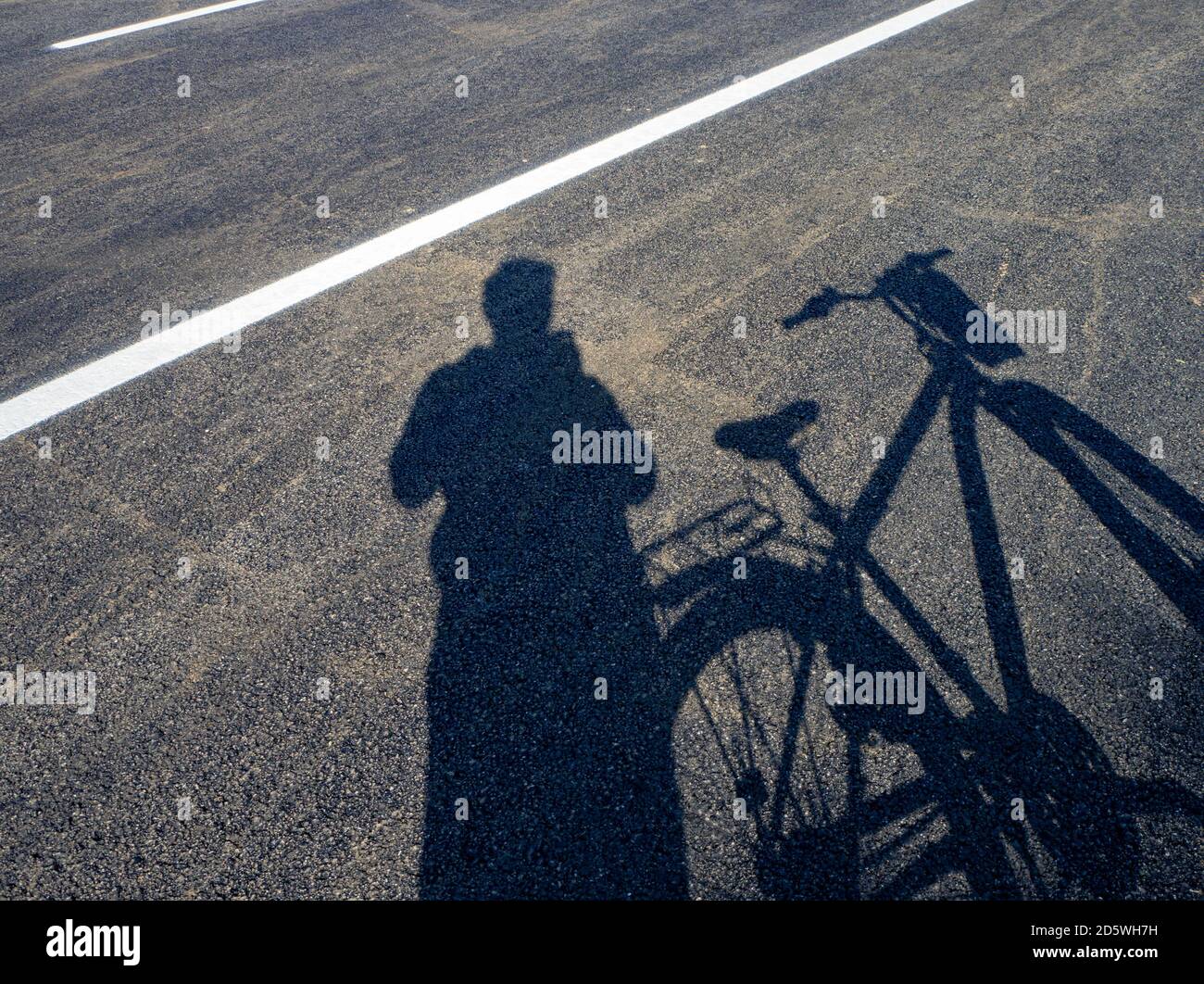 bike and human shadow, bike and on asphalt road Stock Photo - Alamy