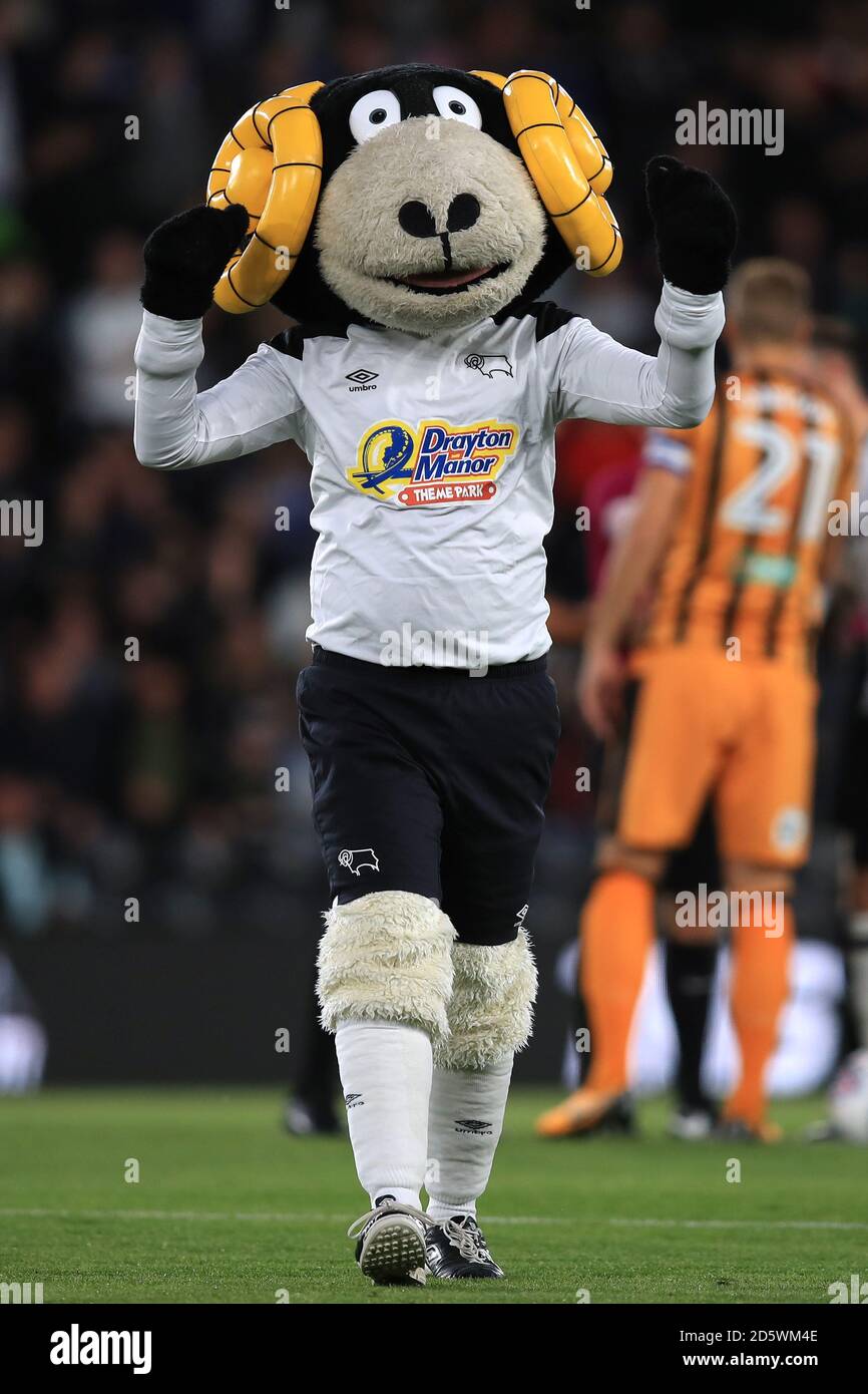 Derby County Ram Picture Clipart