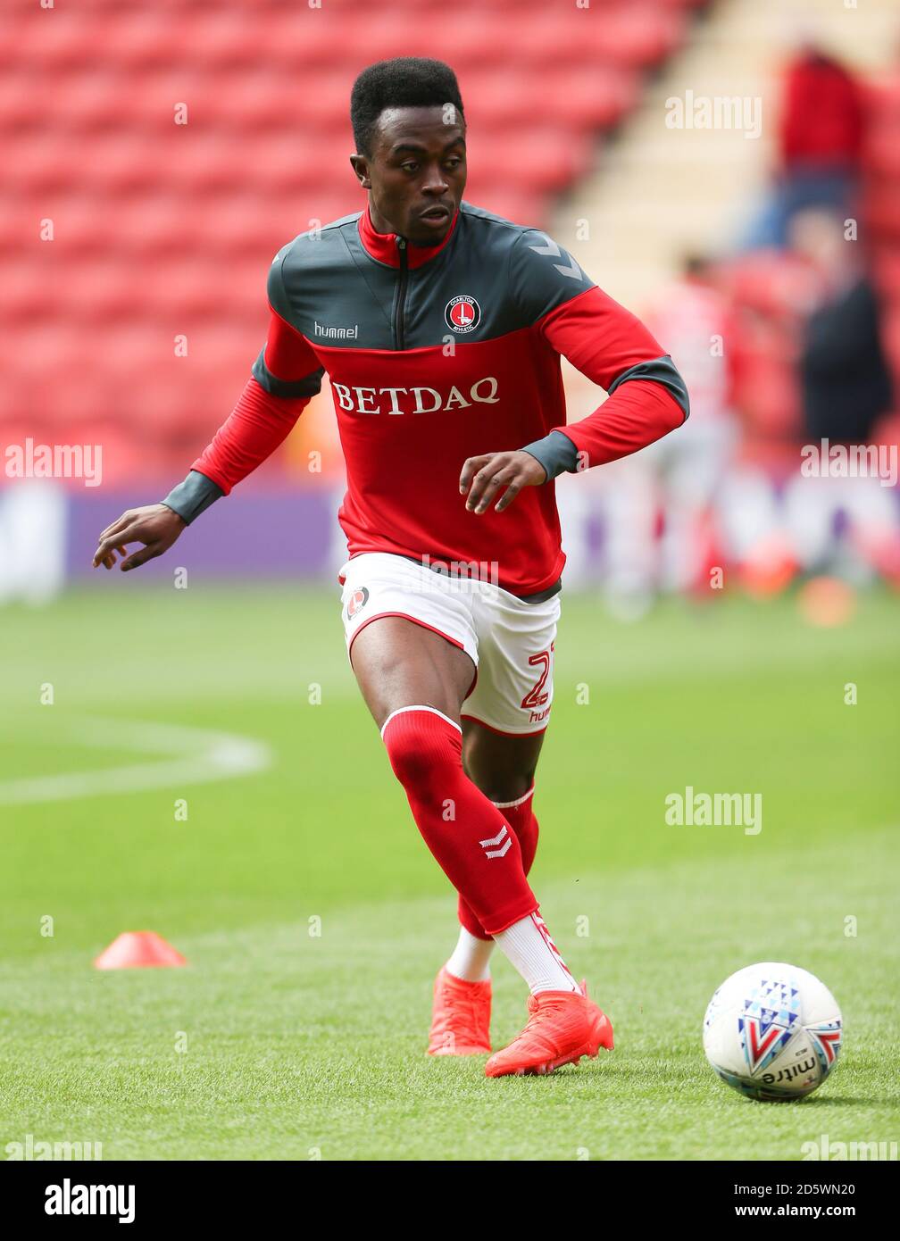 Joe dodoo hi-res stock photography and images - Alamy