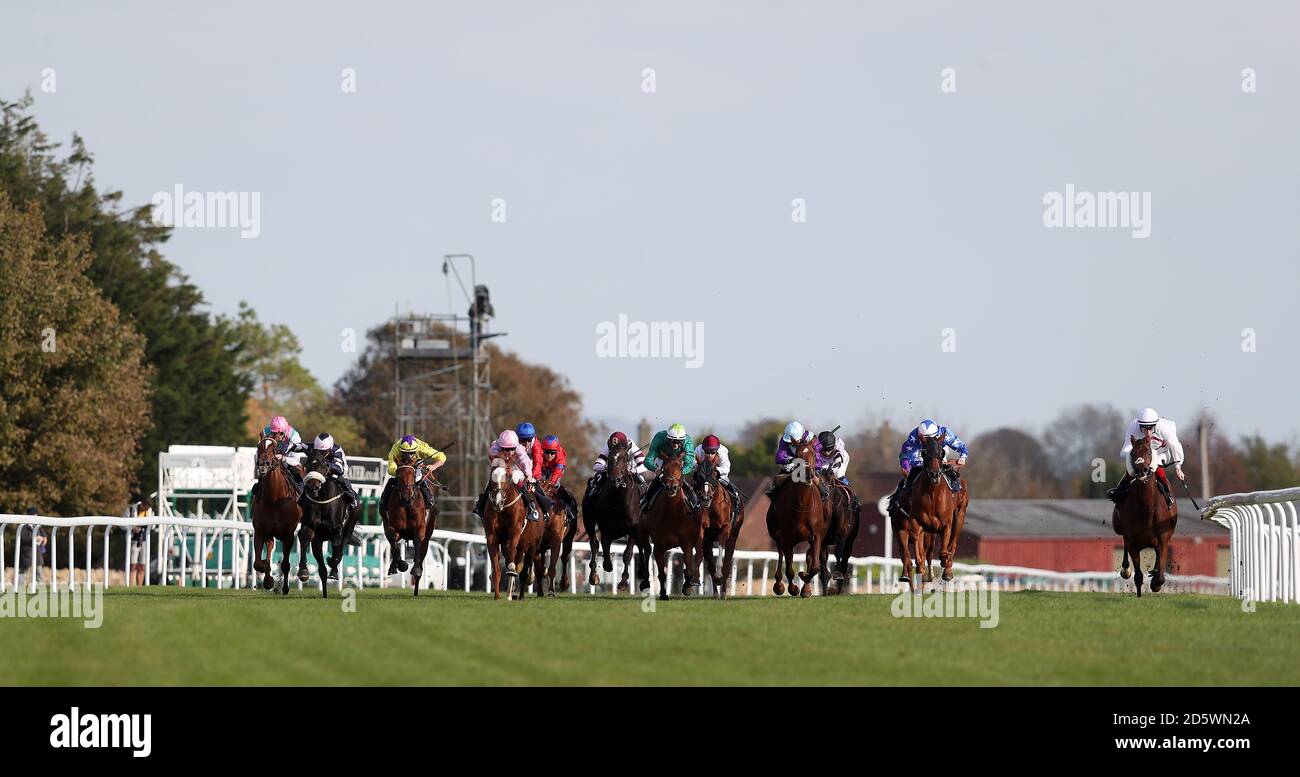 British stallion studs ebf beckford stakes bath racecourse hi-res stock ...