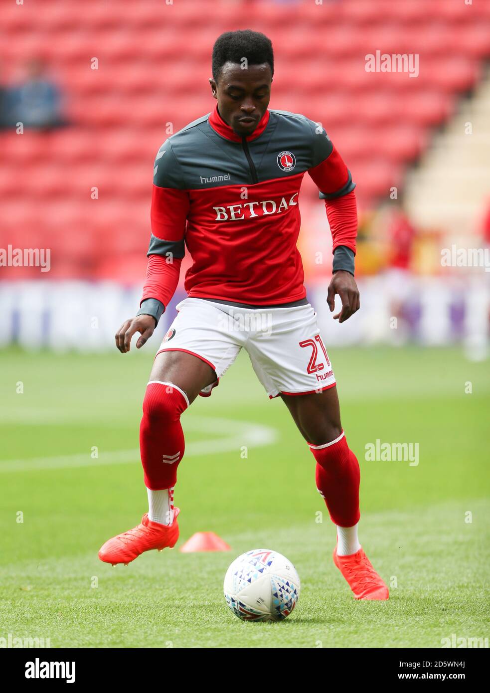 Joe dodoo hi-res stock photography and images - Alamy