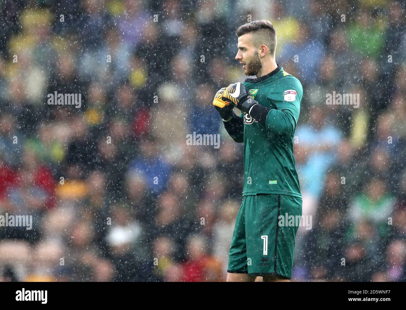 Norwich City's Goalkeeper Angus Gunn Stock Photo - Alamy