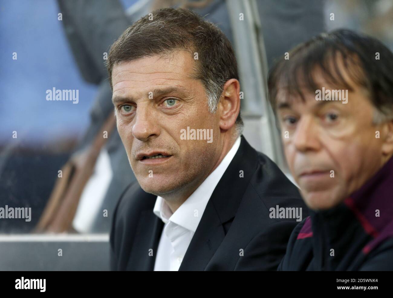 Slaven bilic portrait hi-res stock photography and images - Alamy