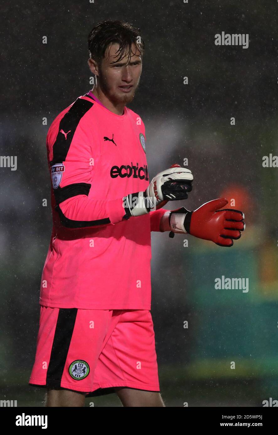 Forest green ampics hi-res stock photography and images - Alamy